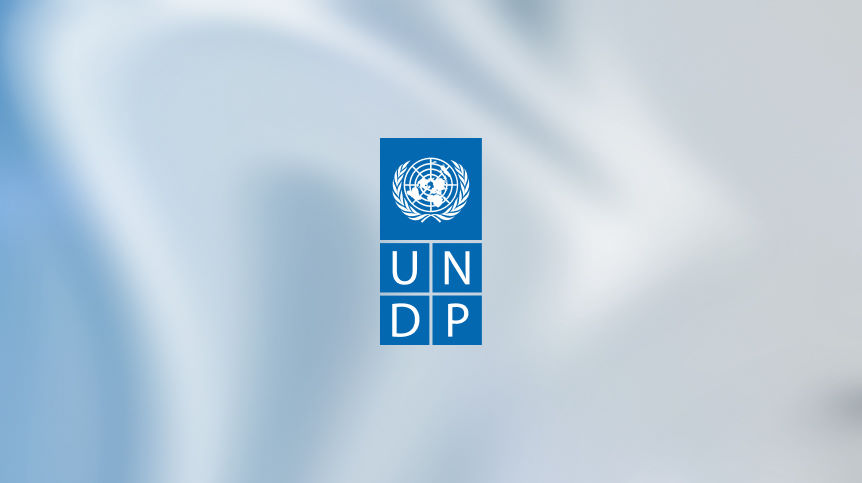Our Team | UNDP SES Toolkit Our Team | UNDP SES Toolkit
